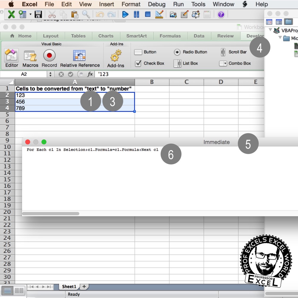 150214 Force Text to Number VBA Professor Excel