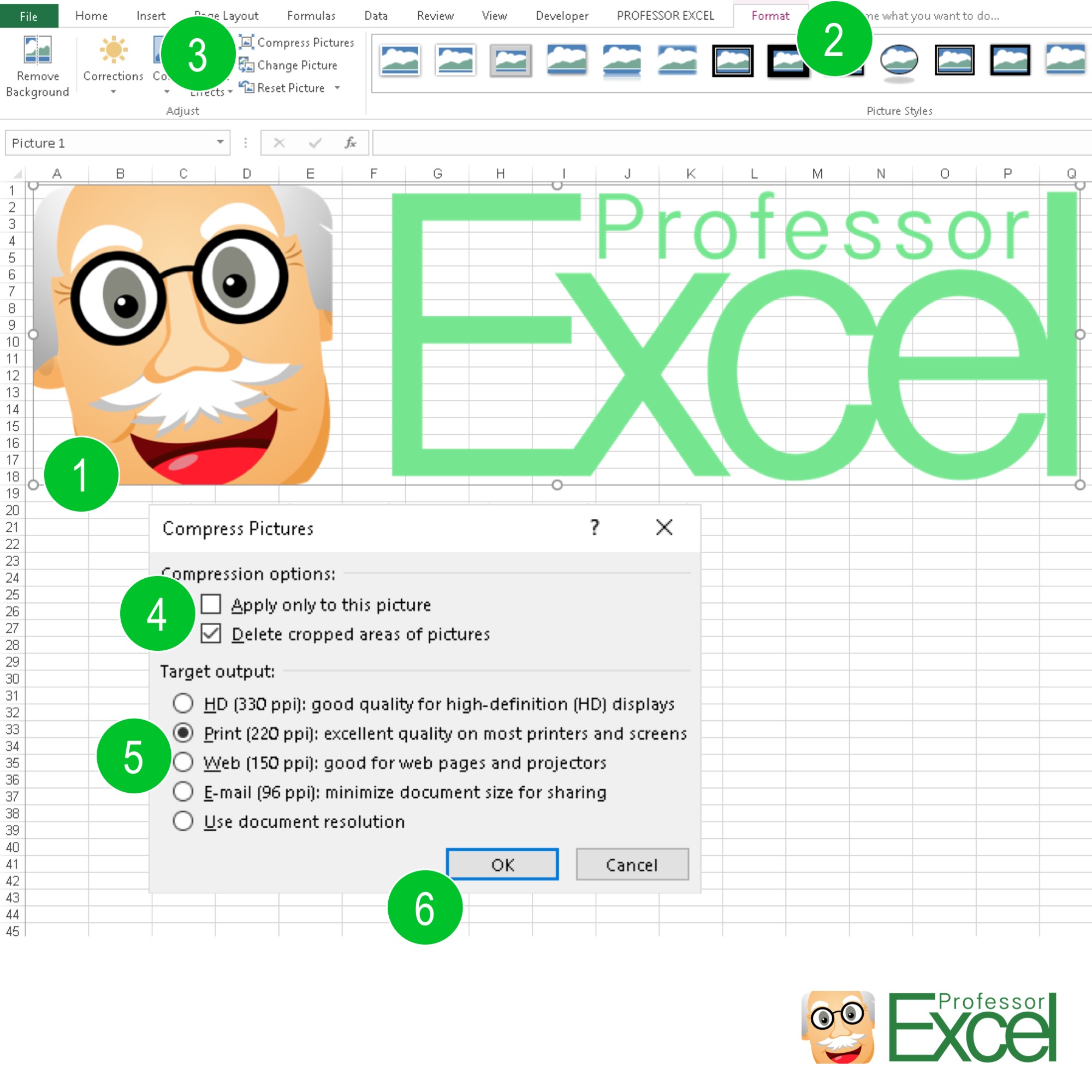 ExcelTip102 Professor Excel