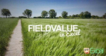 FIELDVALUE Formula in Excel: Insert Data of Companies and Countries