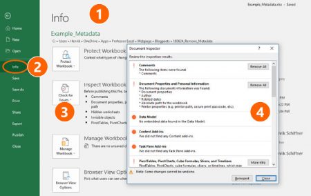 03_Excel_Document_Inspector - Professor Excel