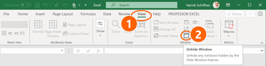 Unhide Window Professor Excel