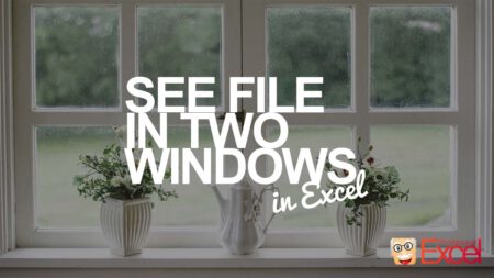 How to See an Excel File in Two Windows Side by Side