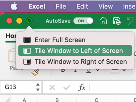 How to See an Excel File in Two Windows Side by Side