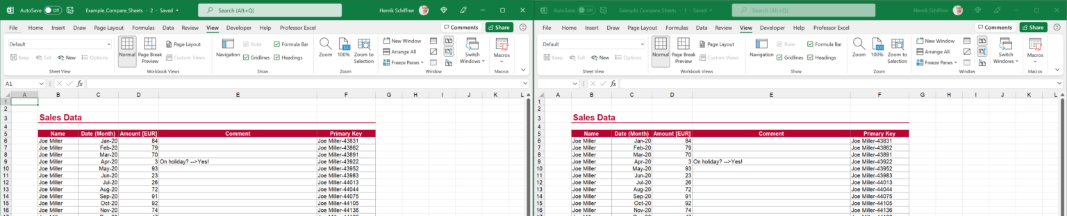 How to See an Excel File in Two Windows Side by Side
